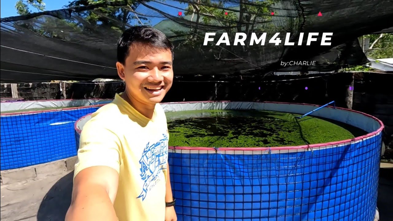 Circular pond - Cheap and effective way for Hito/Catfish farming # ...