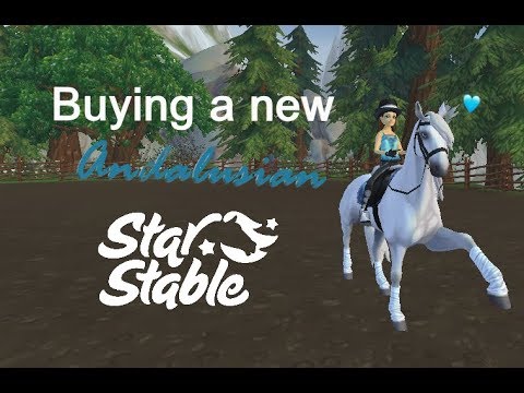 Buying a New Andalusian! - SSO - YouTube