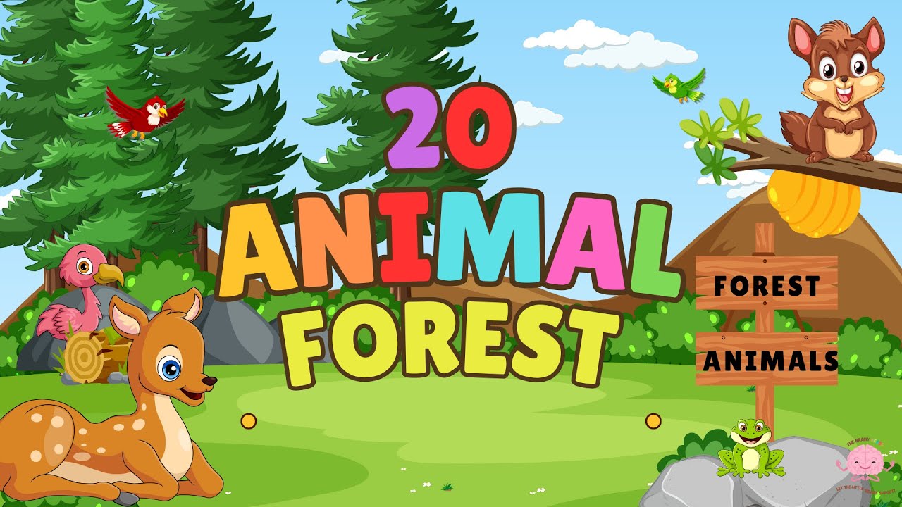 Animals | Learn about Forest Animals | 20 sea animals - YouTube