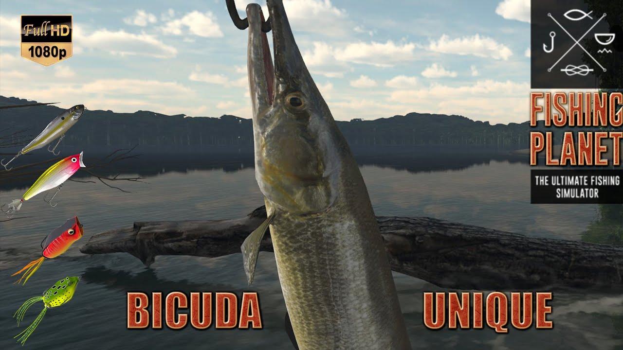 FISHING PLANET BICUDA UNIQUE #204 SUR LE DÉDALE DE L'AMAZONE - YouTube