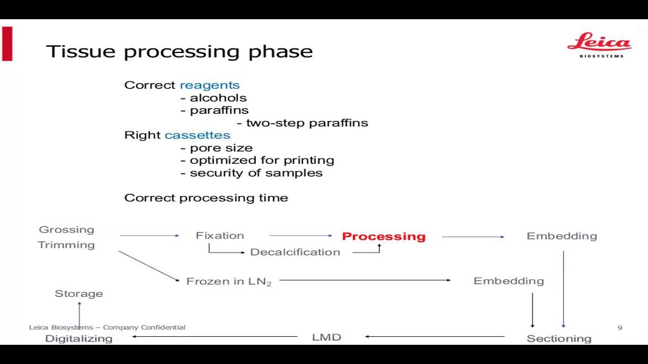 Andrew Lisowski - Own the Histology Process - YouTube