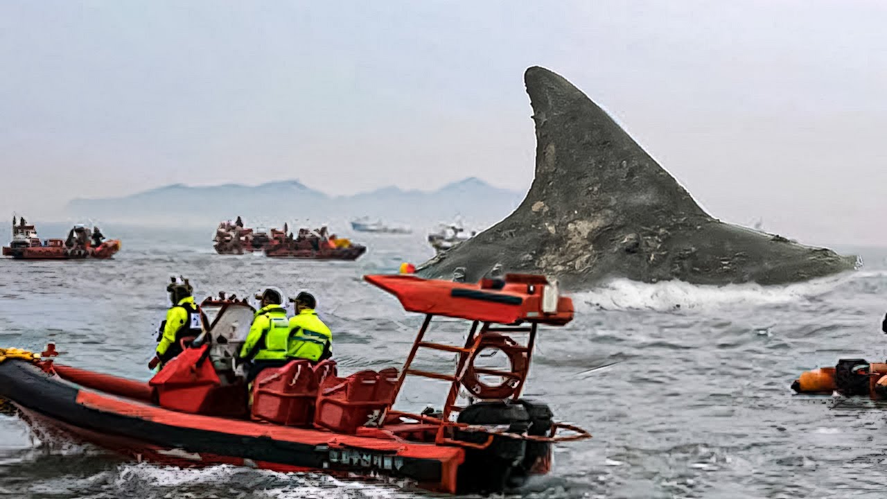 Incredible Moments Caught on Camera - YouTube Incredible Moments Caught on Camera - YouTube