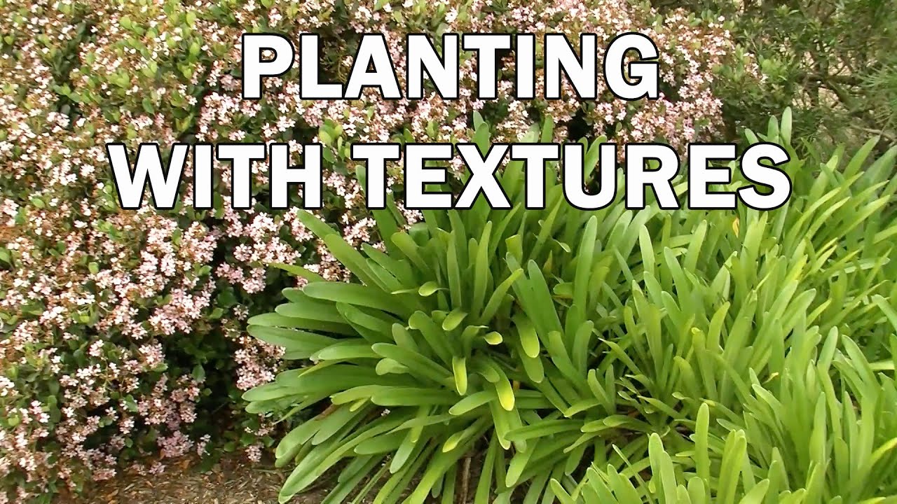 Planting With Textures - Garden Design - YouTube