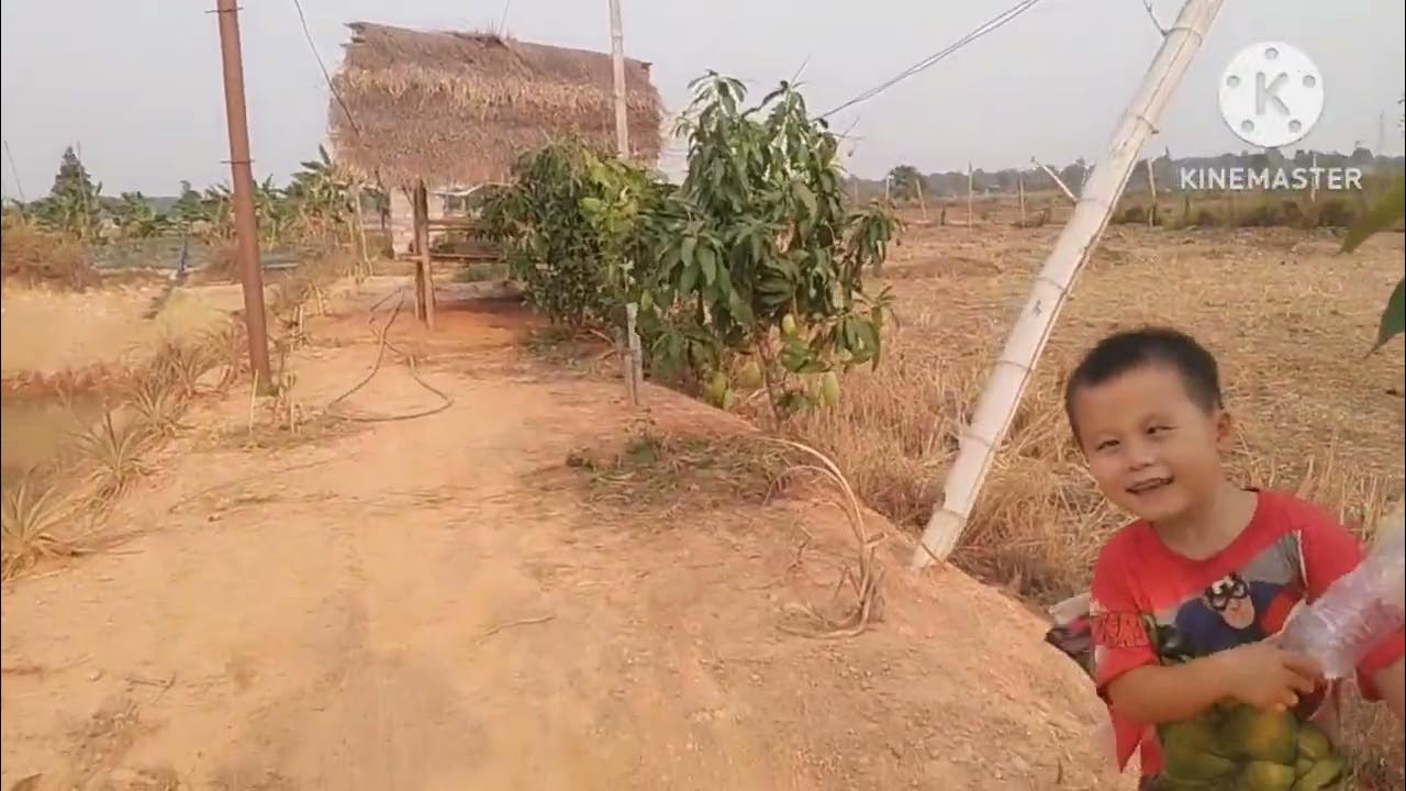 kuv coj nej nrog peb mus nuv ntses thiab xawb zaub noj os - YouTube