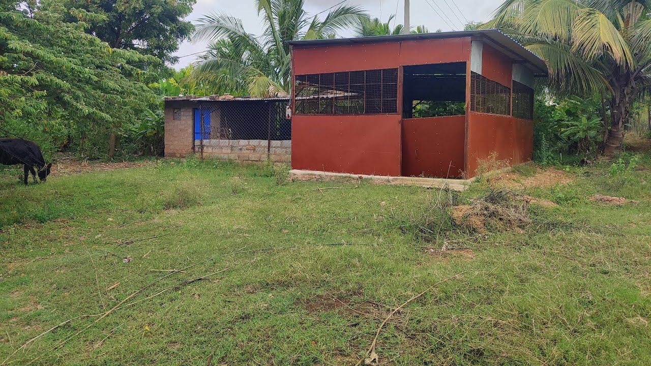 7.5 Acres farm land for sale (7338197726) 107 Kms from Bangalore - YouTube