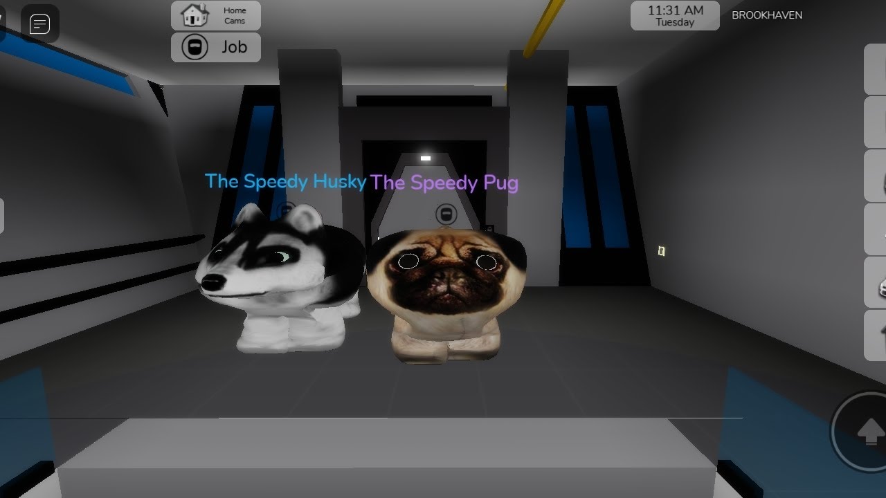 The Speedy Dogs Go Robbing People - YouTube