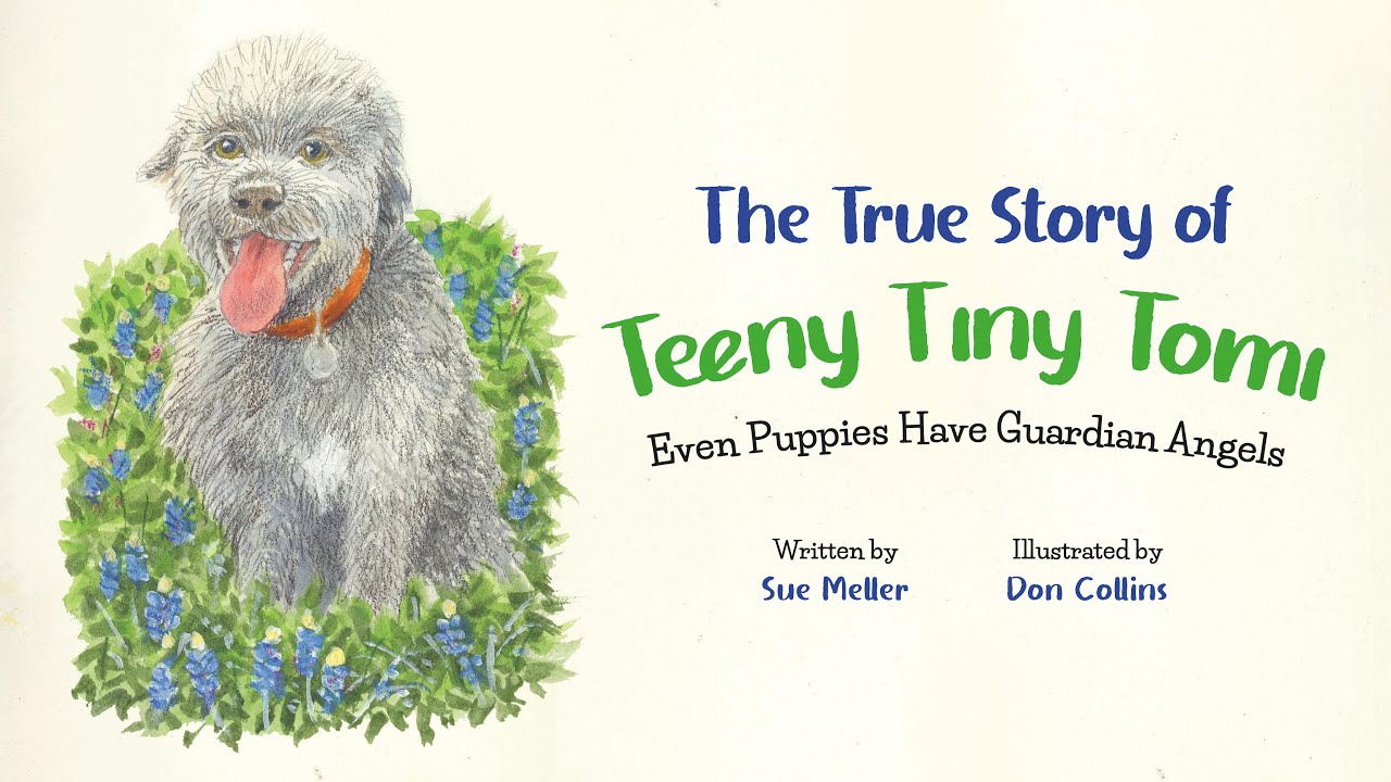 Official Book Trailer "The True Story of Teeny Tiny Tomi" by Sue Meller ...