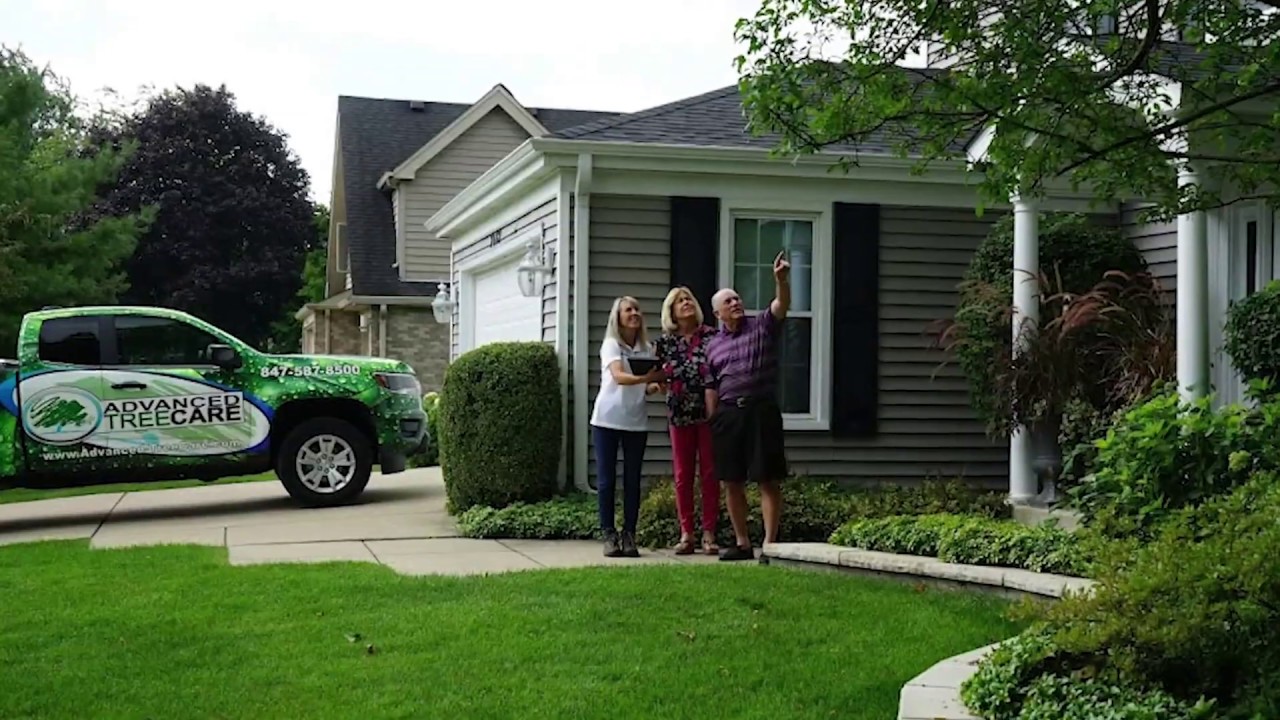 Residential Tree Service - Advanced Tree Care - YouTube