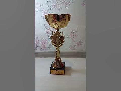 мои награды 🎉🥇🏆 - YouTube