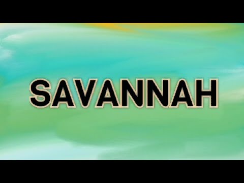 Savannah by Diviners feat. Philly k (NCS release)Lyrics - YouTube