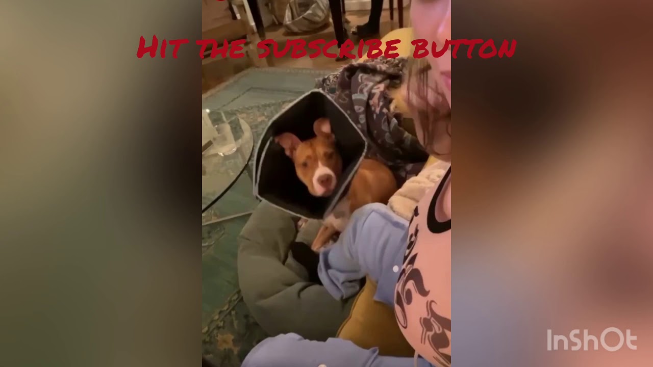 Billie Eilish Smacks Her Boobs ๐๐re Uploaded Youtube