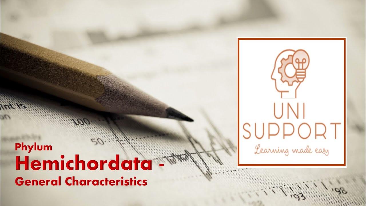 Hemichordata General Characteristics Of Acorn Worm YouTube hemichordata-general-characteristics-of-acorn-worm-youtube