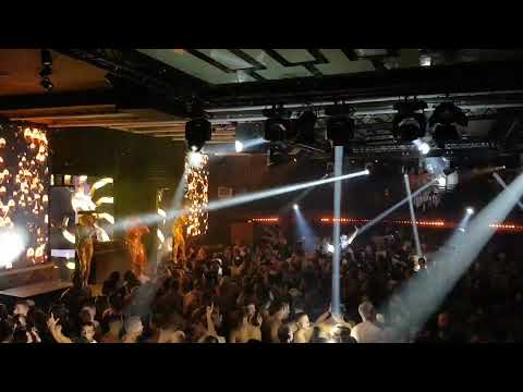 NALAYA BROWN live SCREAM