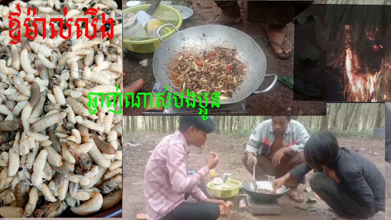 Roasted Bees Cuisine/ 2 - YouTube