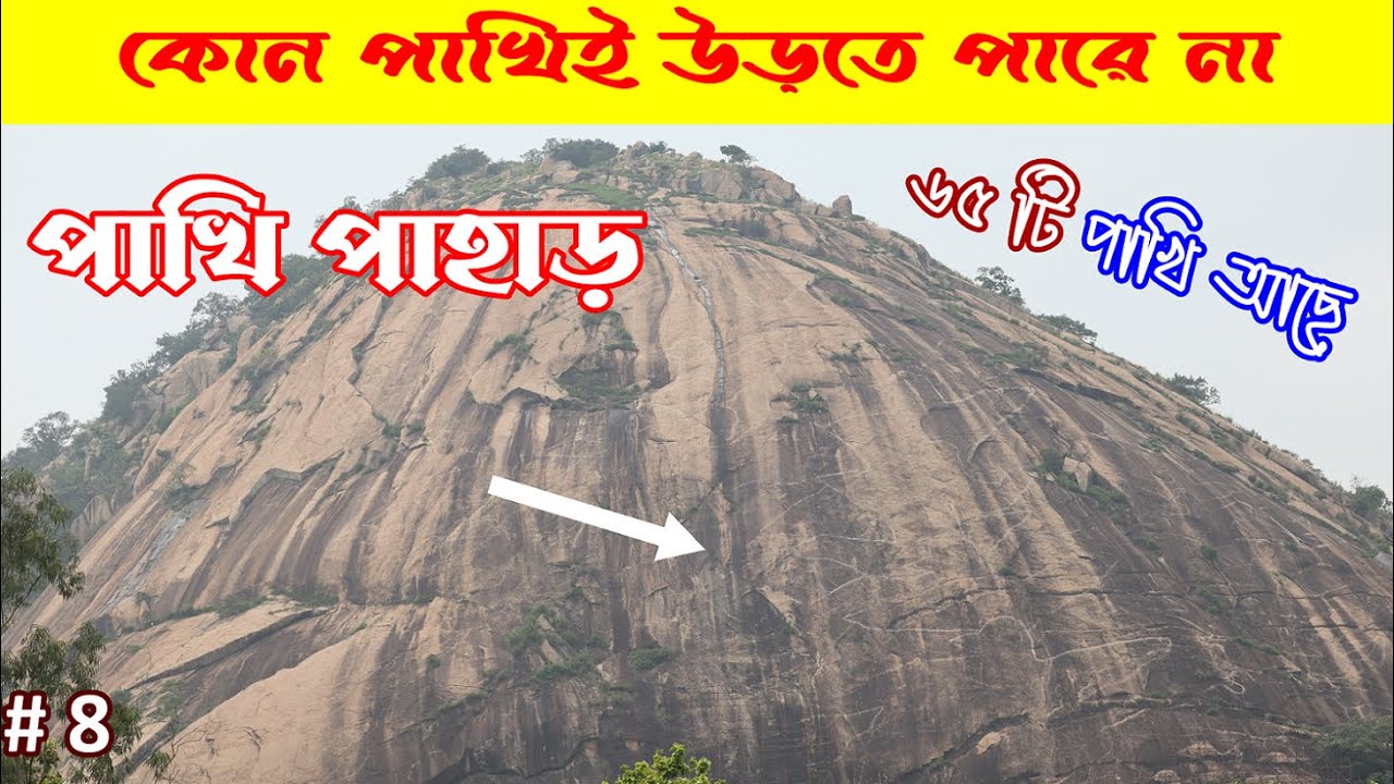 পাখি পাহাড়ে কোন পাখিই উড়তে পারে না : Pakhi Pahar : Ajodhya Pahar Day ...