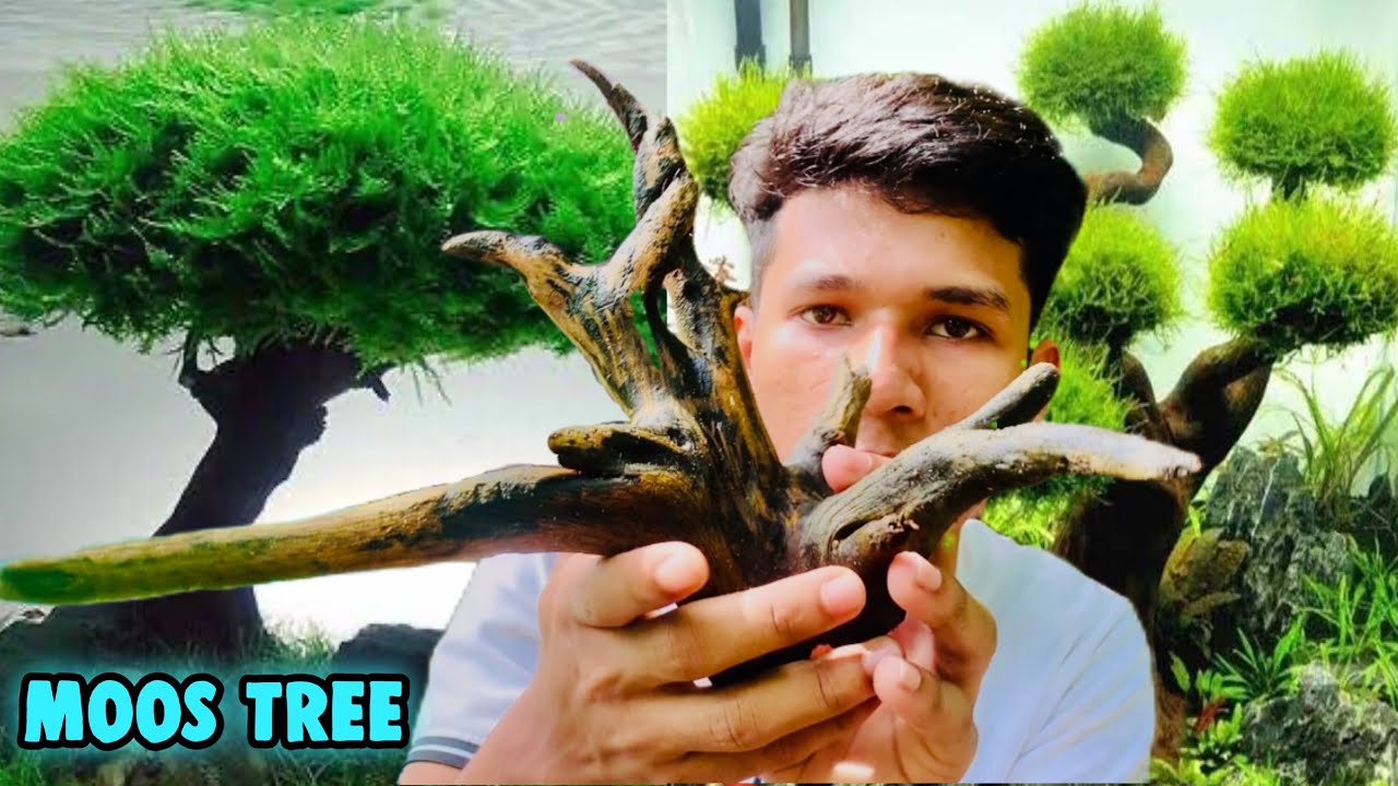 How to make a java moss tree || 🌴🌴 - YouTube