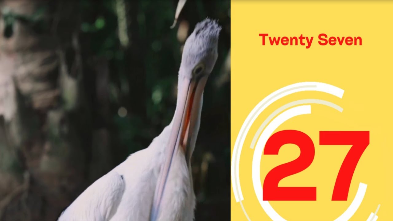 27 - Twenty Seven | English Numbers | Learn Counting | Number Song ...