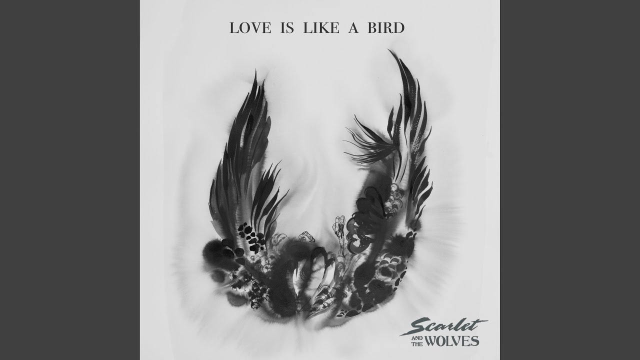 Love Is Like a Bird - YouTube