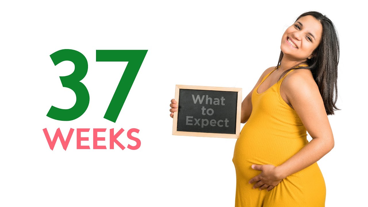 37 weeks pregnant: What to Expect, Signs of Labour and Baby Development ...