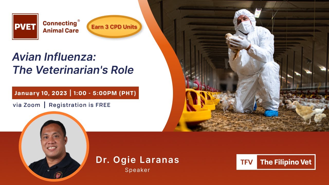 PVET Webinar | Avian Influenza: The Veterinarian's Role - YouTube