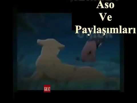 Kürtçe Dublaj Şemsettin Te Pıri Vırkırye Te Tırşkırye Aso VE paylaşımları