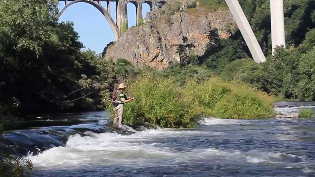 Pescando en el Río Ulla - Fishing in the Ulla River - YouTube