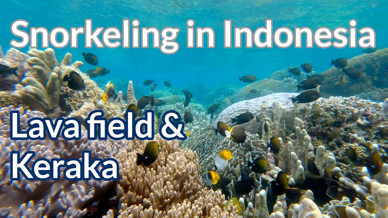 Lava field & Keraka, Banda Neira - 4K Snorkeling in Indonesia - YouTube