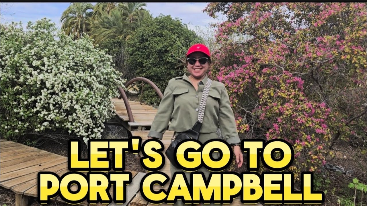 Vlog 14 (Loch Ard Gorge & 12 Apostles) - YouTube