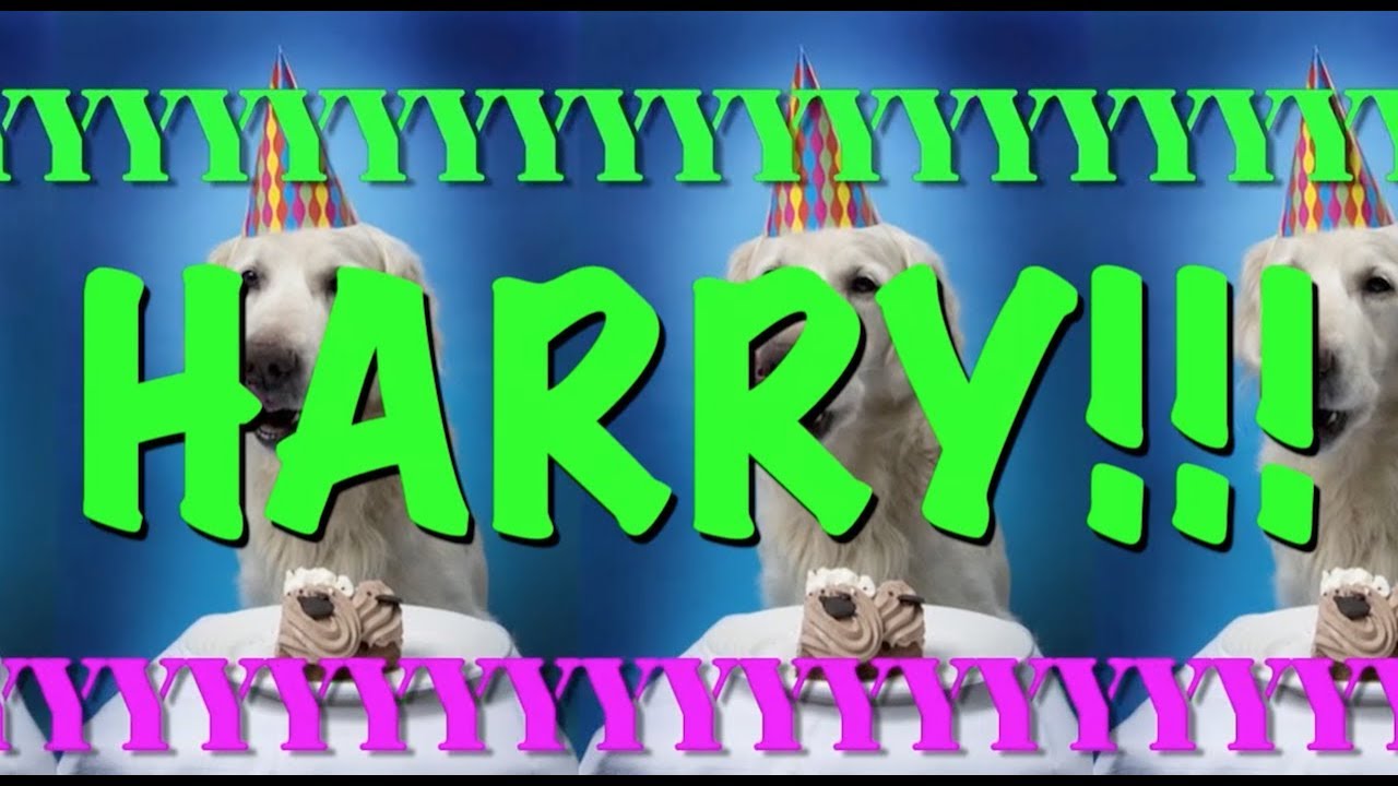 HAPPY BIRTHDAY HARRY! - EPIC Happy Birthday Song - YouTube
