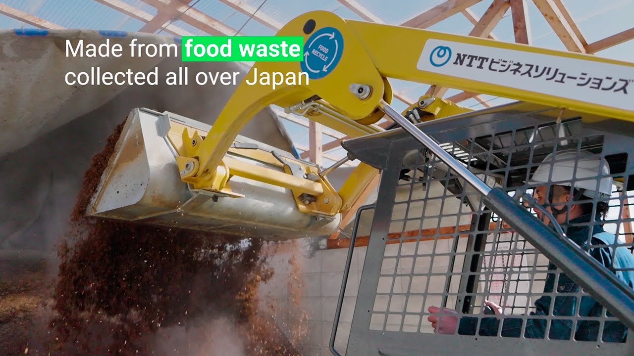 Circular Economy - Food waste in farm - YouTube