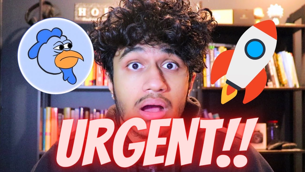 $ROOST IS DOWN 99% ROOST COIN HAS RELAUNCHED!! URGENT!! - YouTube