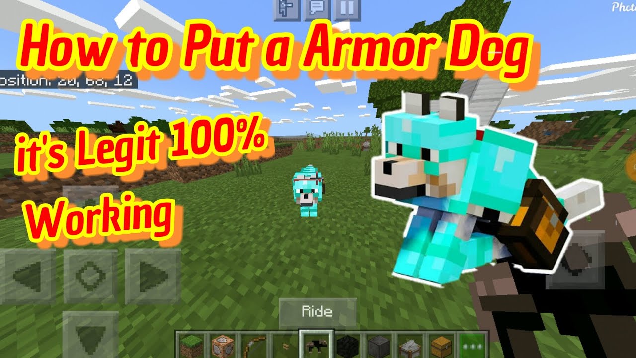 How to Put a Wolves Armor 100% Working - YouTube