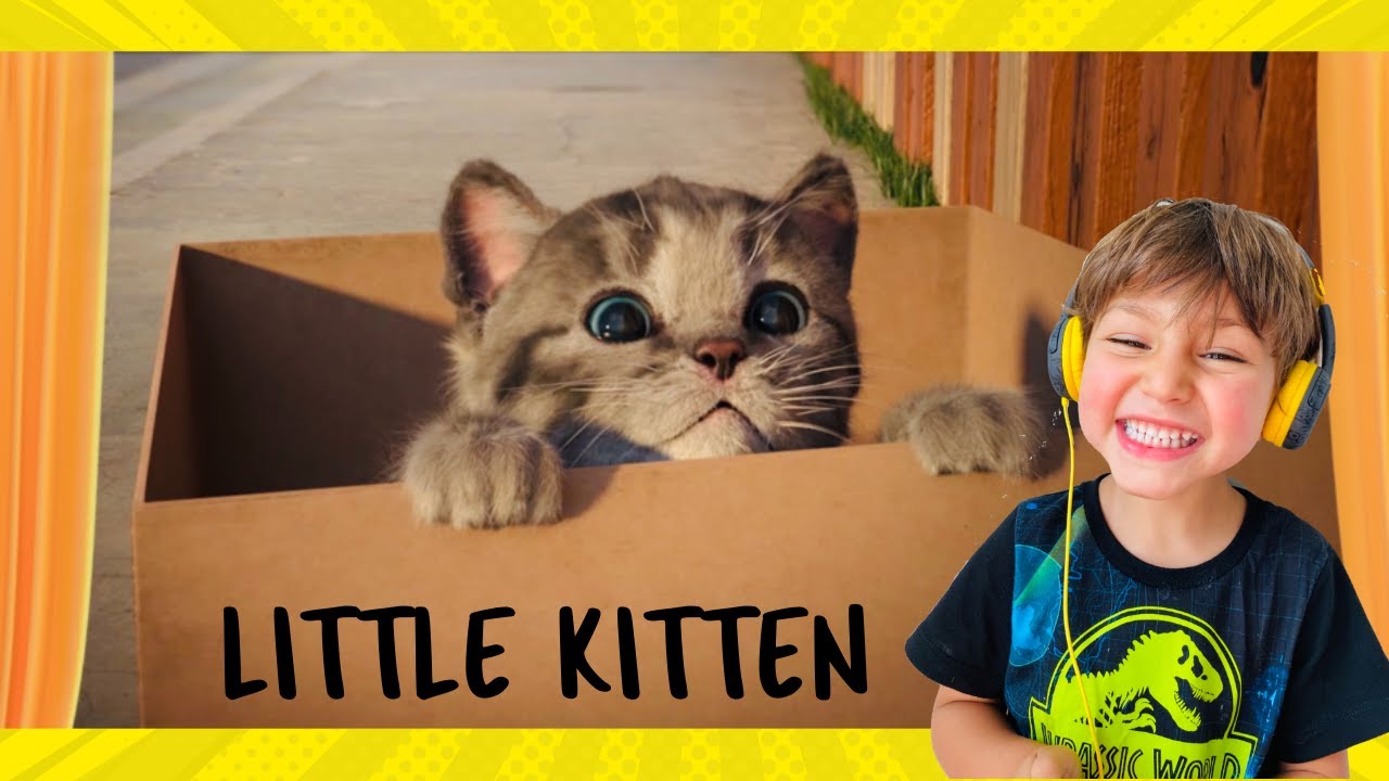 || Little Kitten || My Favorite Cat || Best App for Toddlers || - YouTube