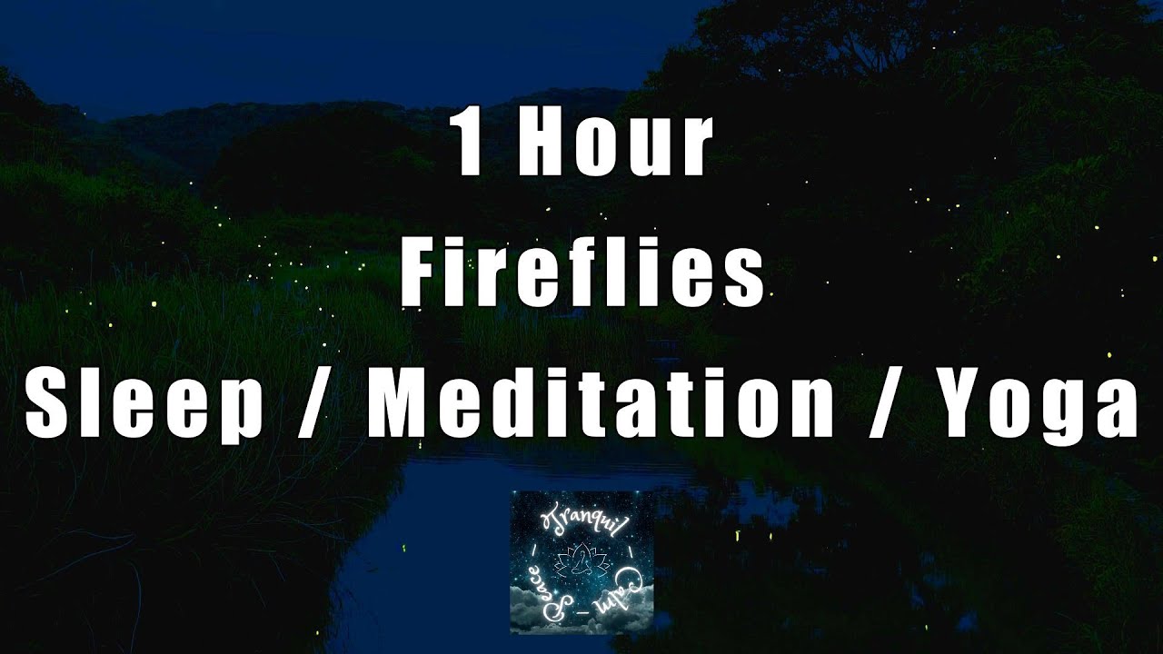 Nighttime Firefly Calm: 1-Hour Relaxing Nature Sounds for #Sleep, # ...