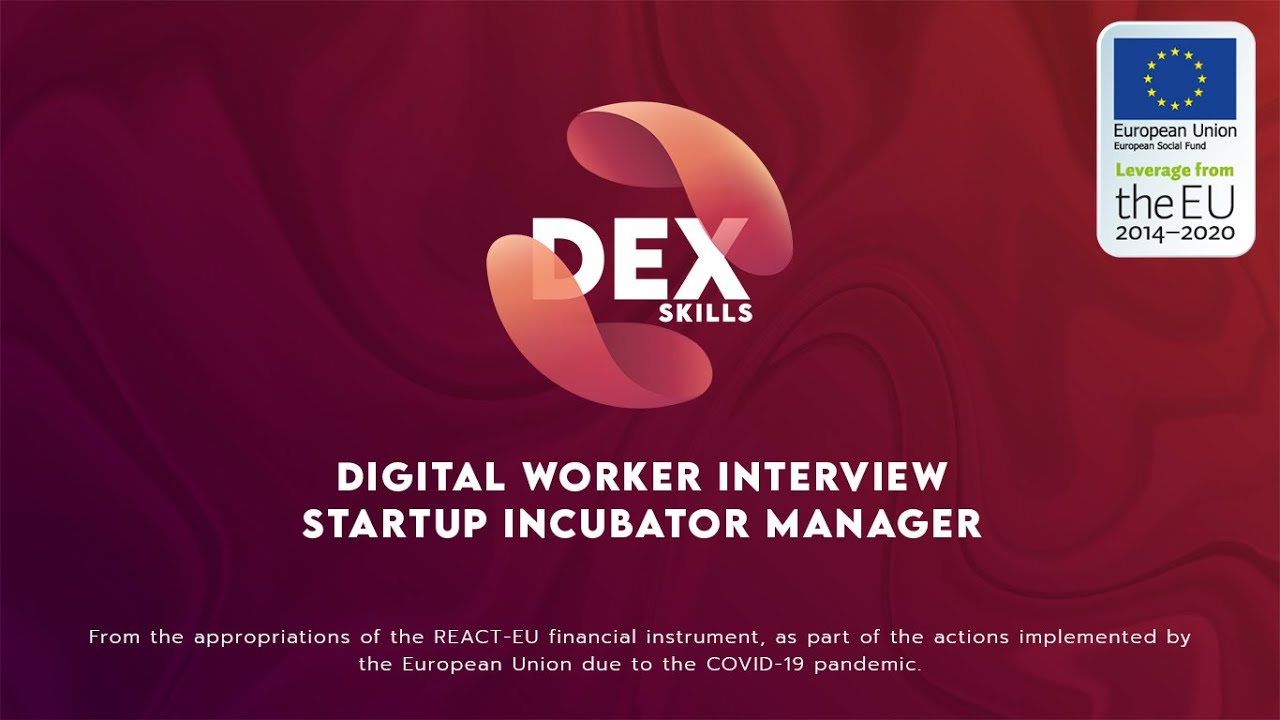 DEX Skills interview StartUp incubator manager - YouTube