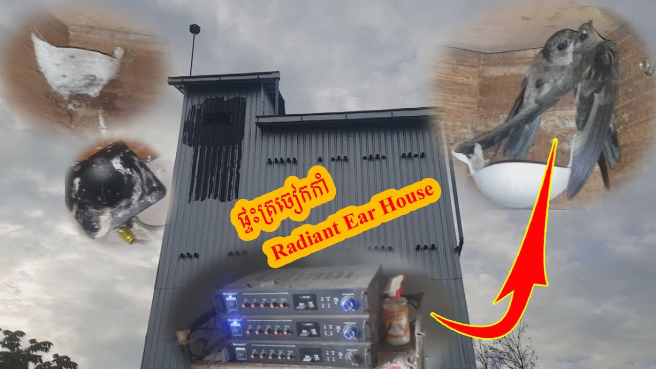 ផ្ទះត្រចៀកកាំ - Radiant Ear House - YouTube
