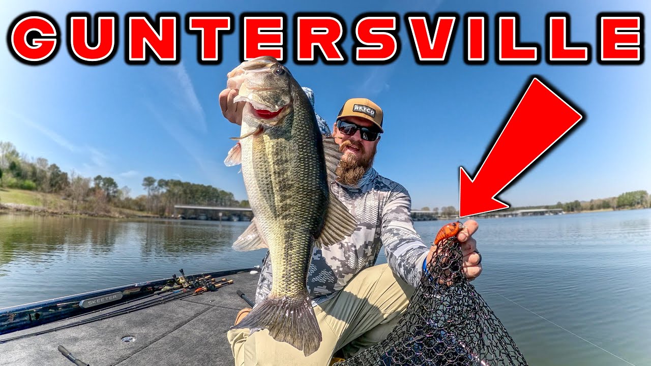 Spring Bass Fishing Is Awesome! Exploring Lake Guntersville! - YouTube