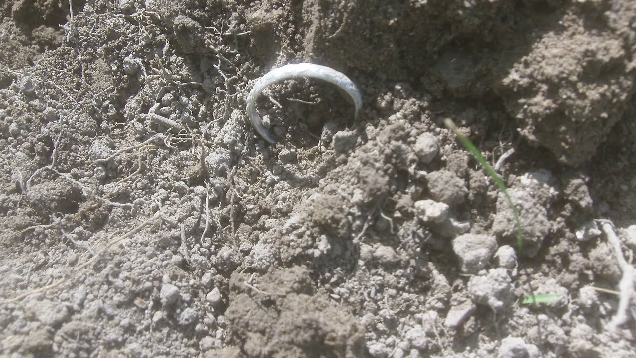 Metal Detecting: Buried Canadian Treasure - YouTube