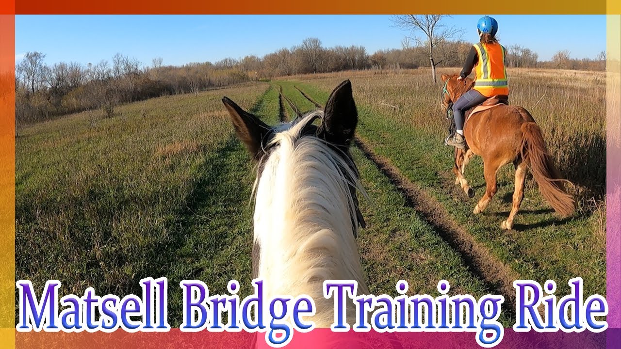 Endurance horse training ride | Matsell Bridge Iowa |Earth and Medicine ...