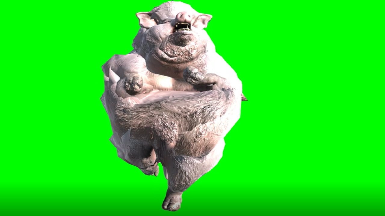 Giant Fat Pig Dance Pack Green Screen 3D CGI - YouTube