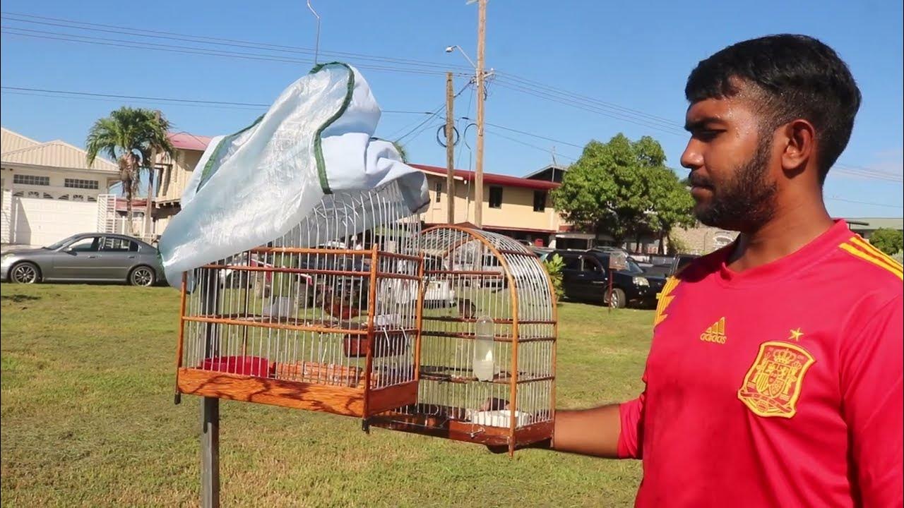 Zangvogel wedstrijden | 07-08-2022 | stichting Zangvogel Vrienden van ...