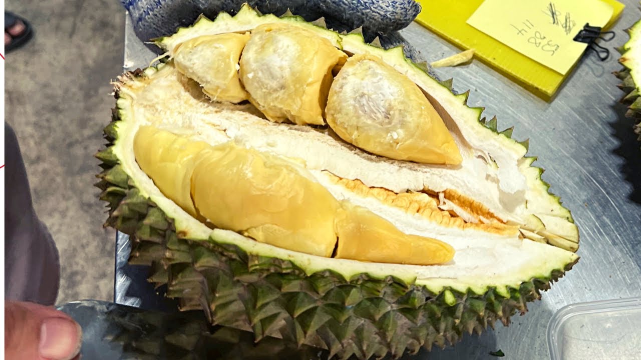 Durian tekka musang queen d160 || musang king - YouTube