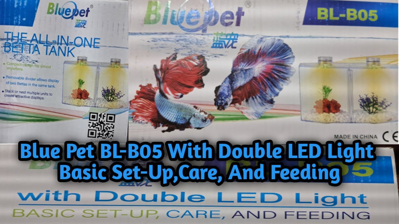 Betta fish tank blue pet bl-b05 review. @FishCareRewa - YouTube