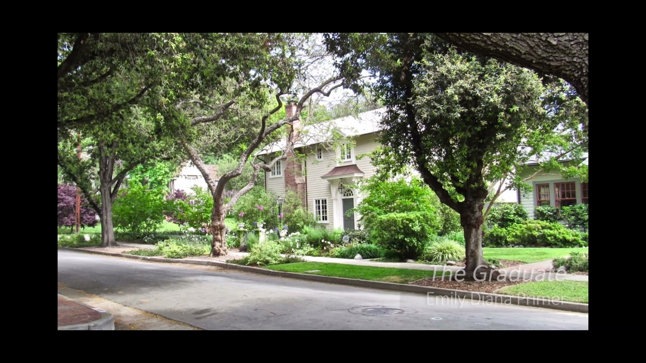 The Graduate Monologue - YouTube