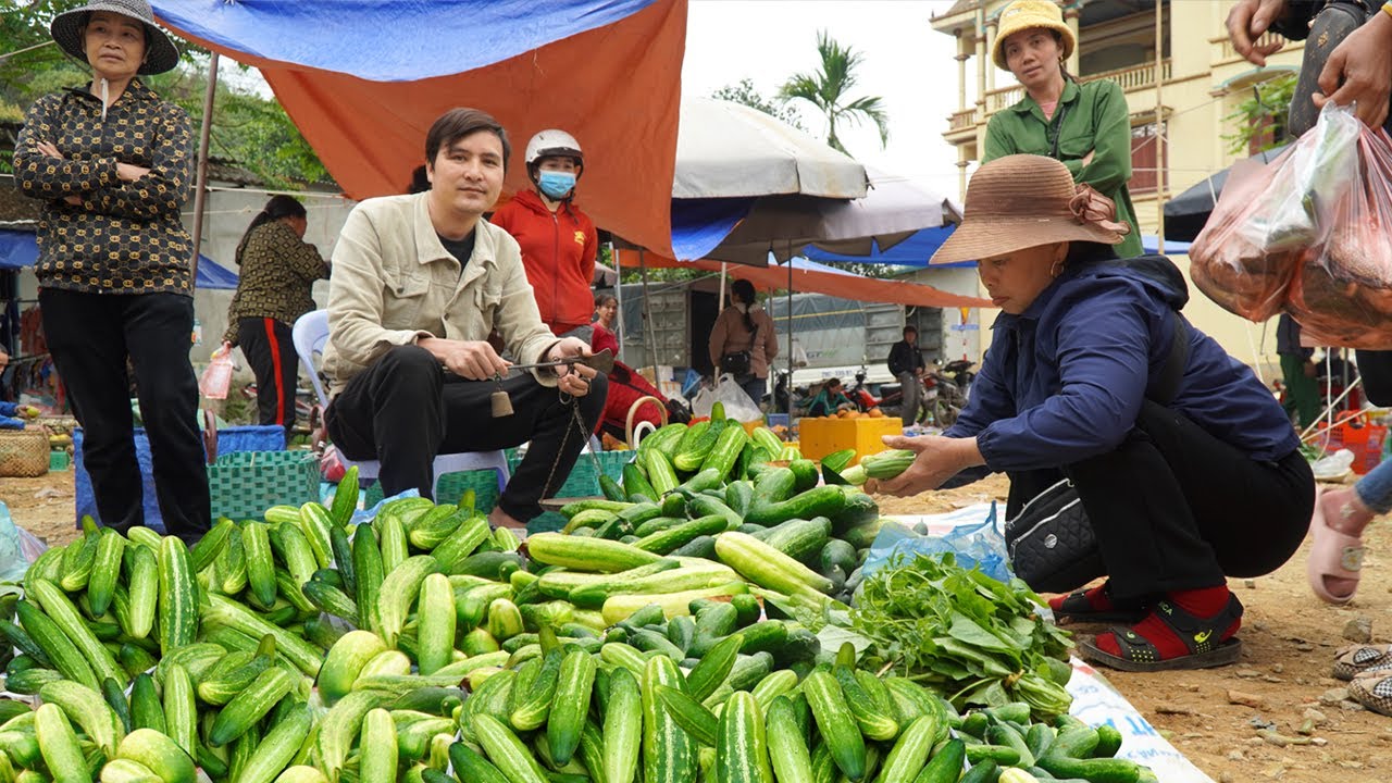 FULL VIDEO: 90 days of growing Cucumber Garden | Harvesting Cucumber ...