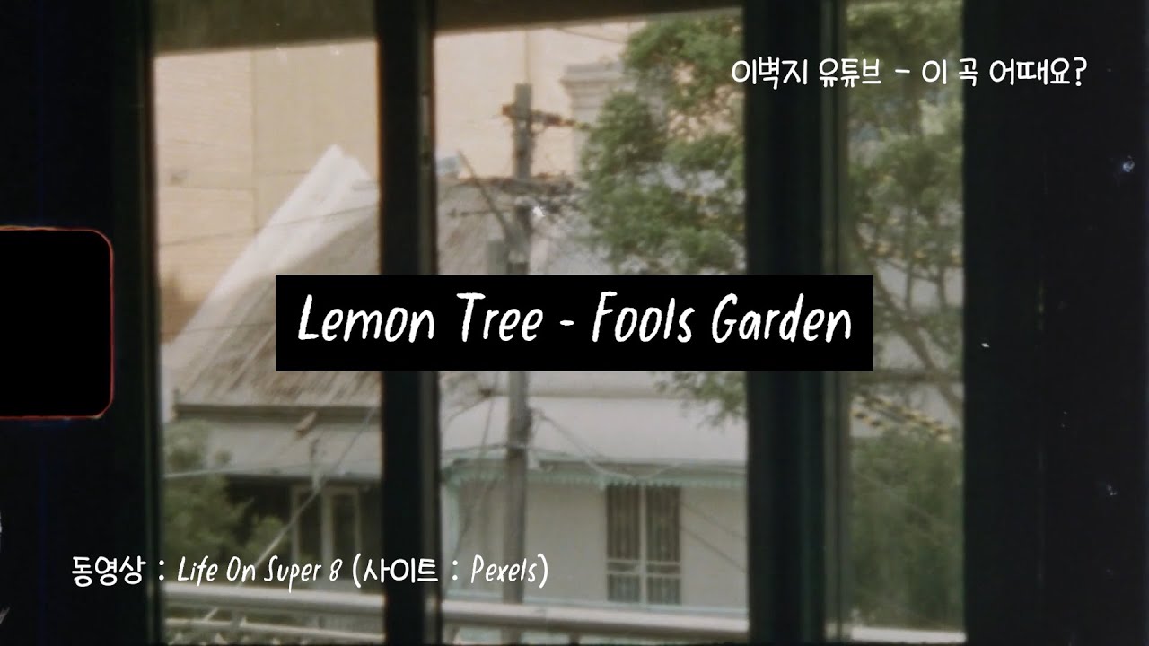 Lemon Tree - Fools Garden 가사 - YouTube