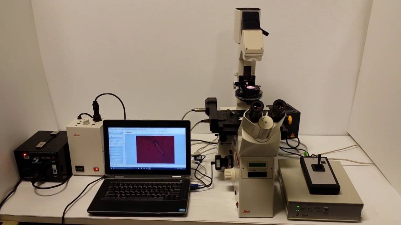 Leica DM IRBE Inverted Microscope 5x 10x BF DIC Polarization ...