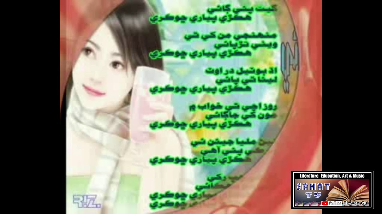 Introduction of book written by Rizwan Gul - YouTube