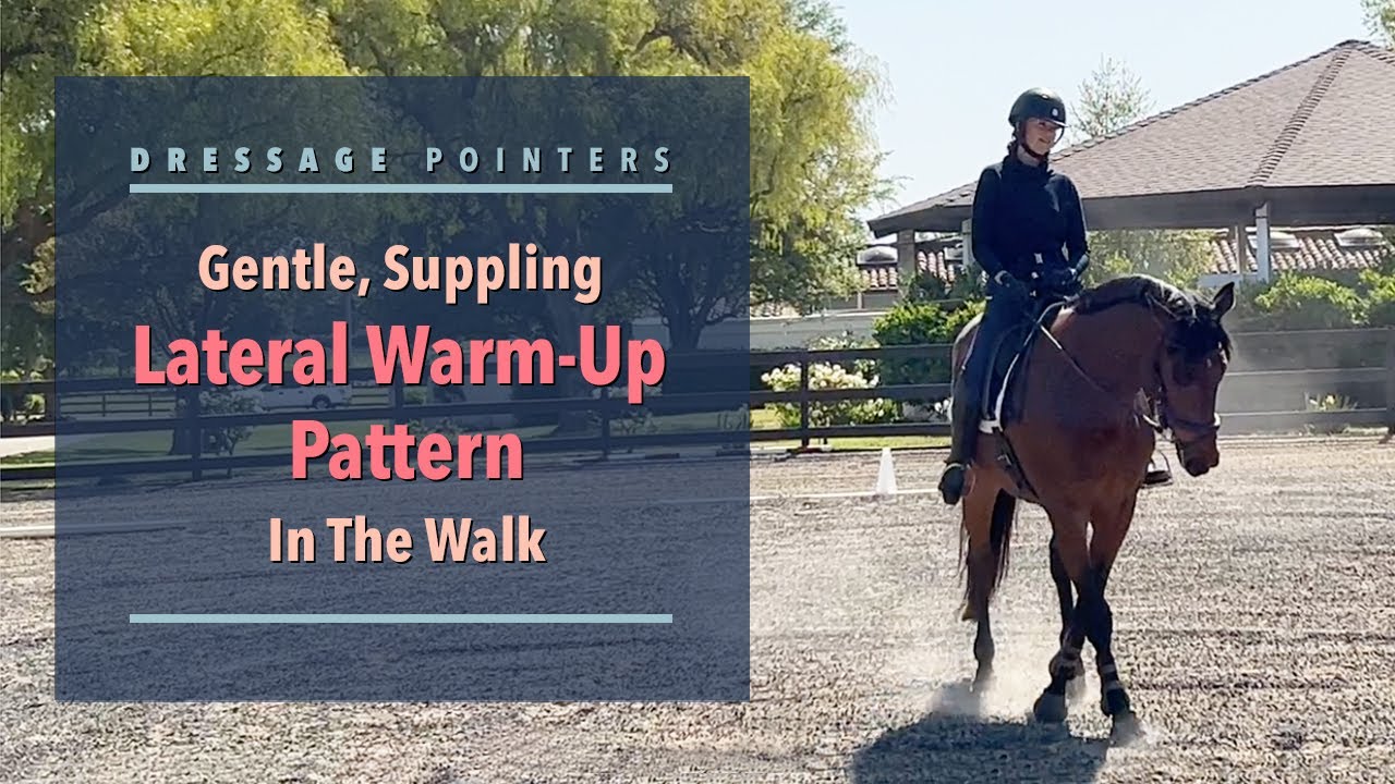 Dressage Pointers: Gentle, Suppling Lateral Warm Up Pattern In The Walk ...