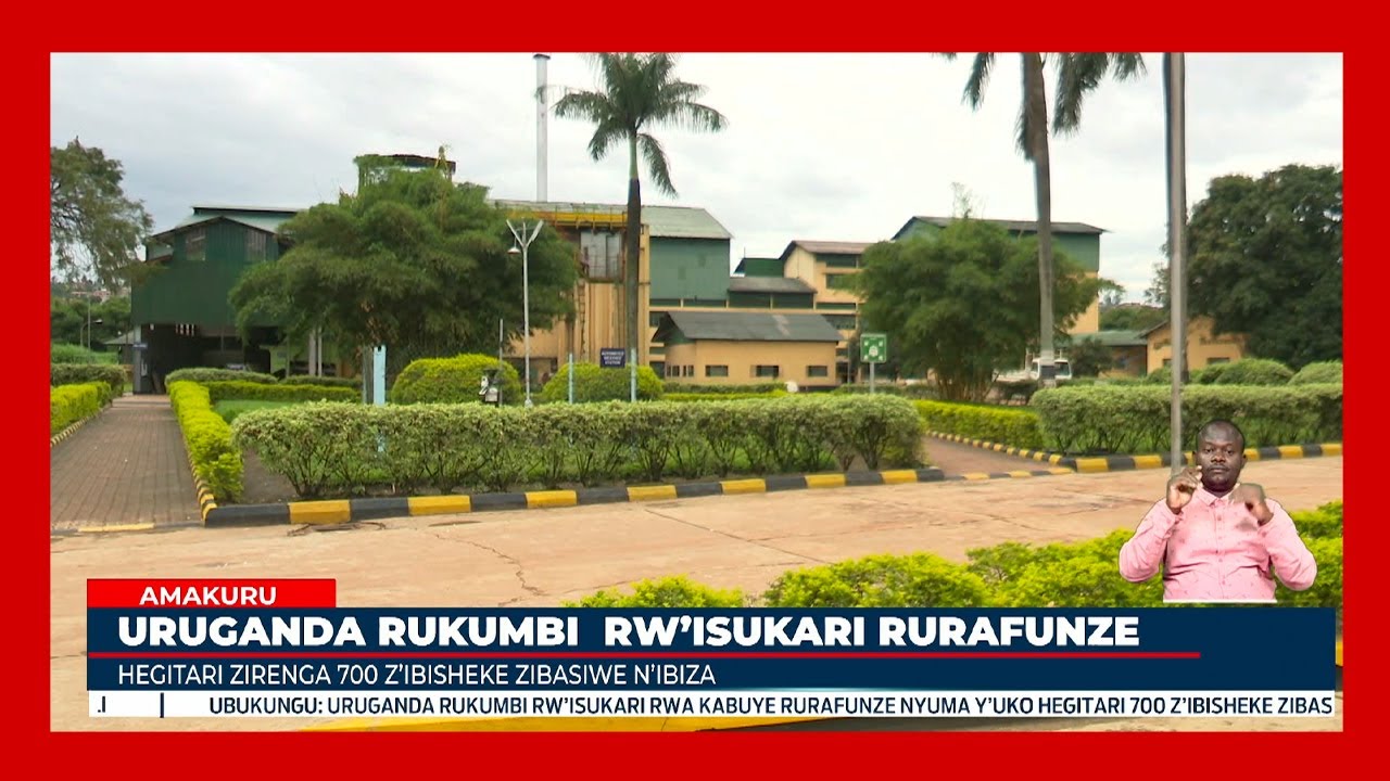 Ni iki cyateye uruganda rukumbi rukora isukari rwa Kabuye gufunga? - YouTube